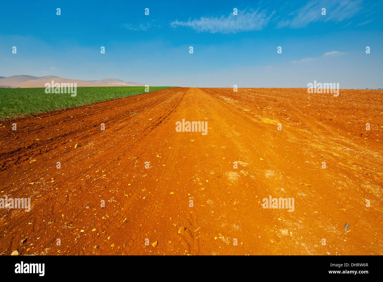 Sow road hi-res stock photography and images - Alamy