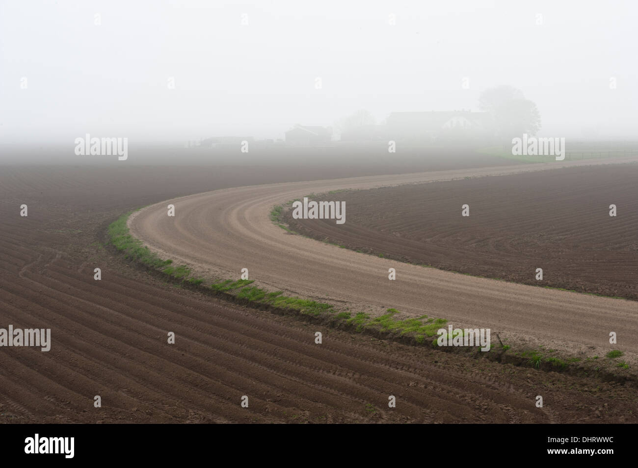 A horse race track in the fog, The Netherlands Stock Photo - Alamy