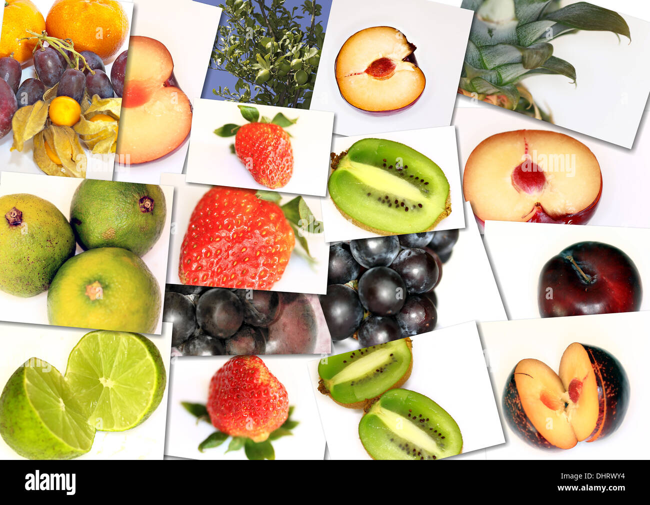 Collage kiwi hi-res stock photography and images - Alamy