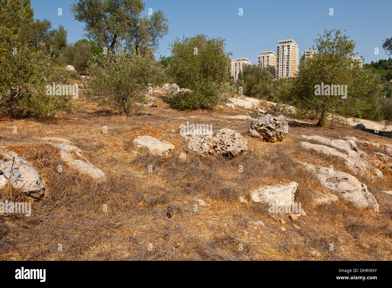 Jerusalem countryside hi-res stock photography and images - Alamy
