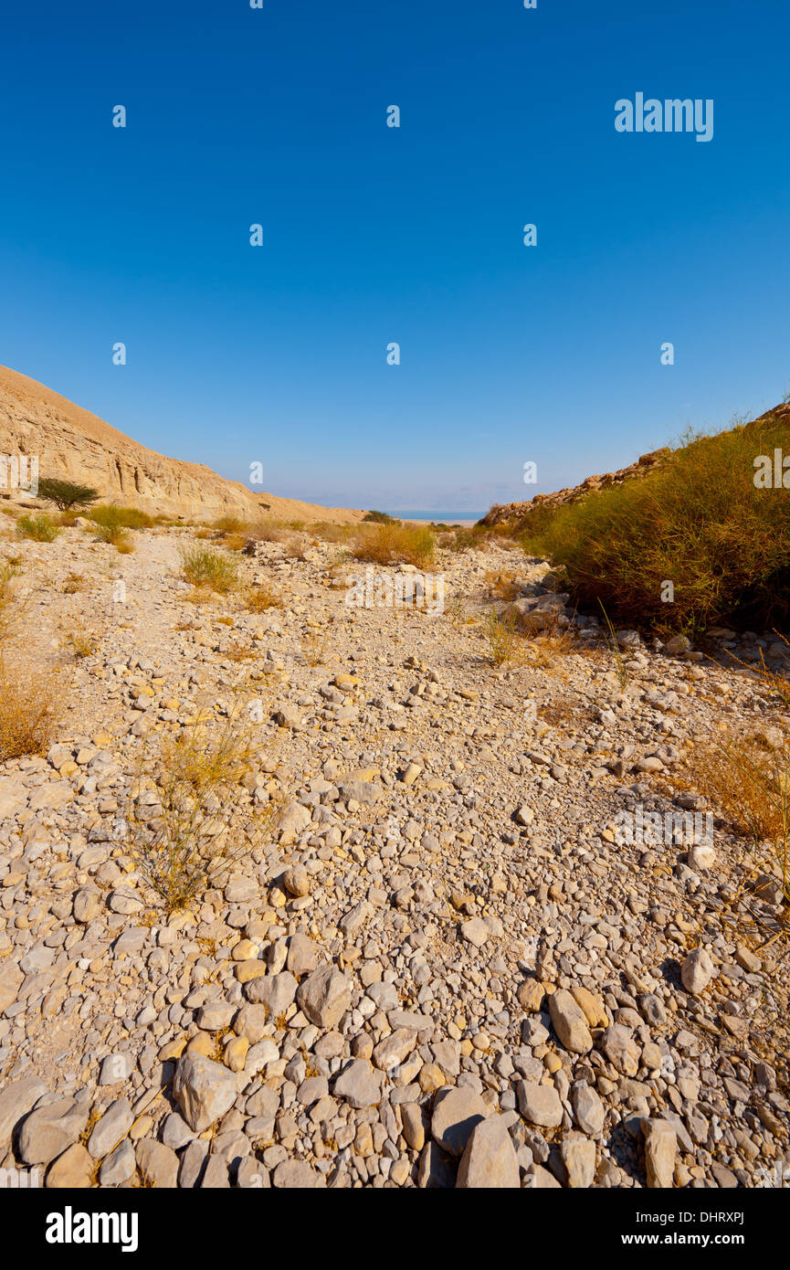 Jordan riverbed hi-res stock photography and images - Alamy