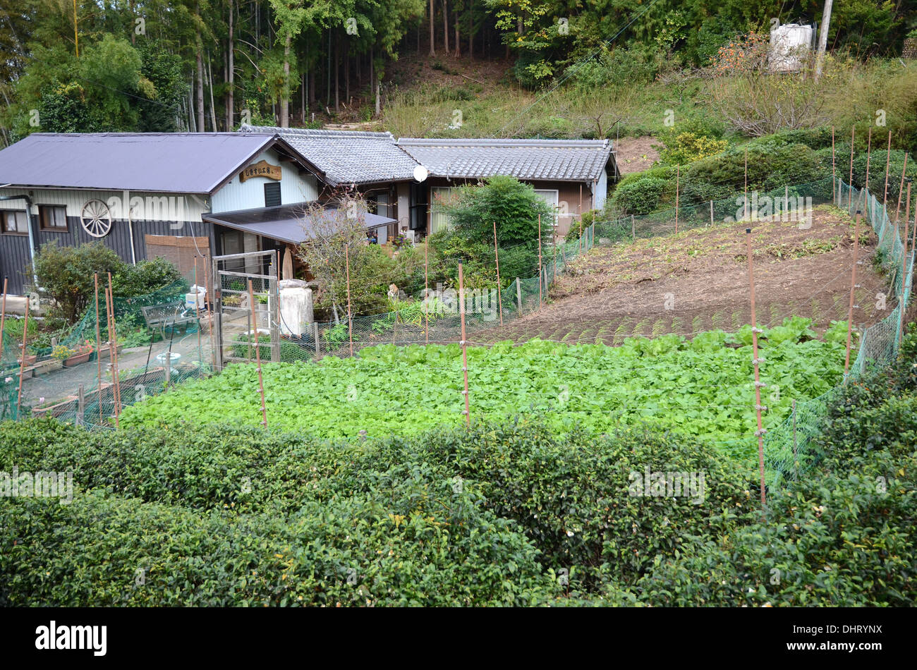Japanese farm on the Kumano Kodo pilgrimage route in the Wakayama ...