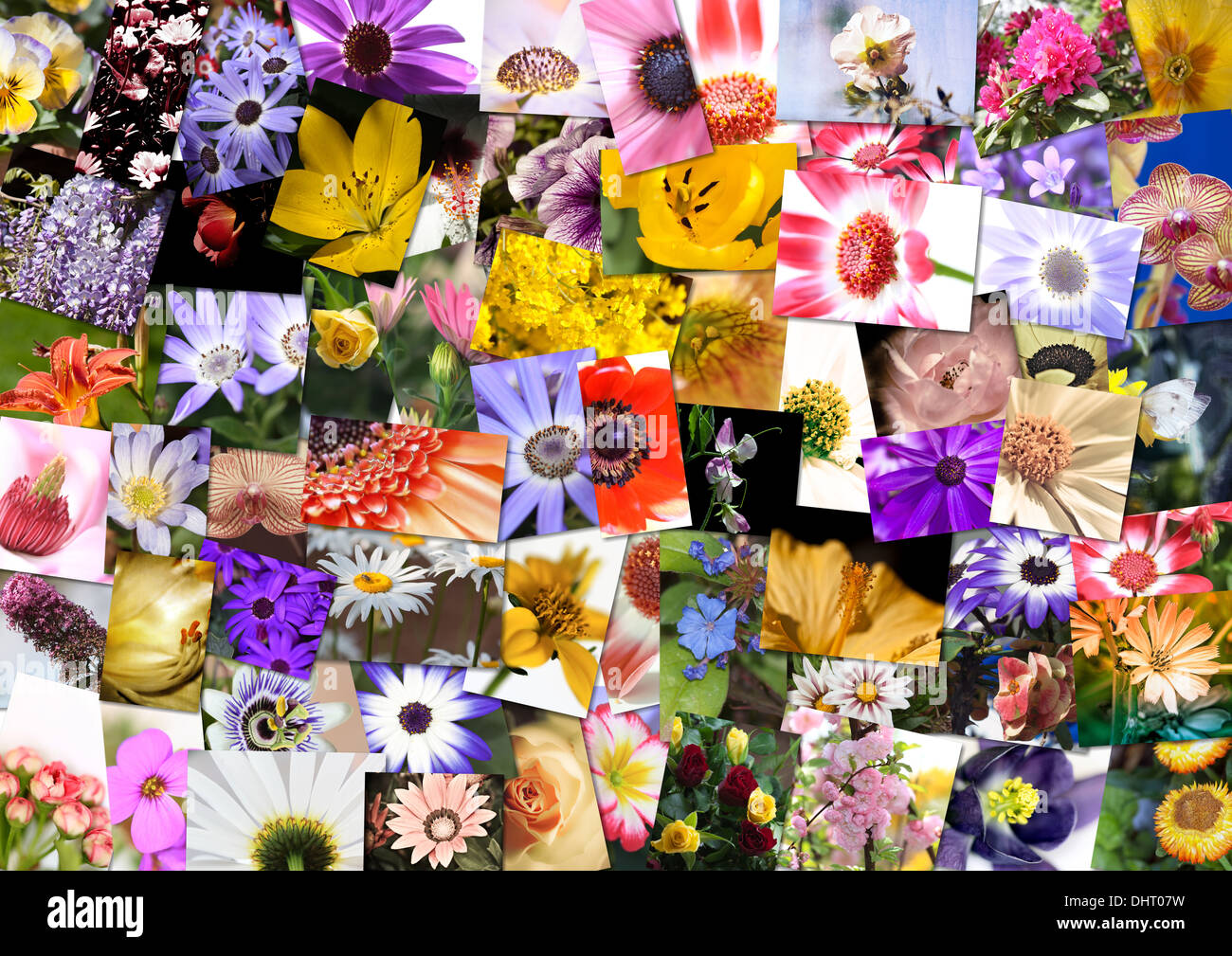 Landscape Floral Poster at Kevin Davidson blog