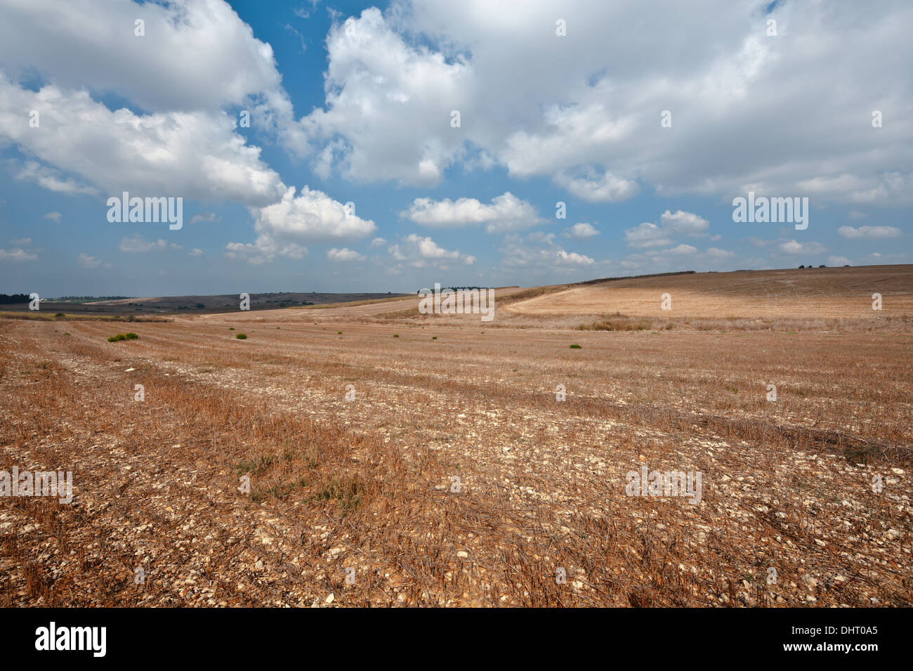Furrow hi-res stock photography and images - Alamy