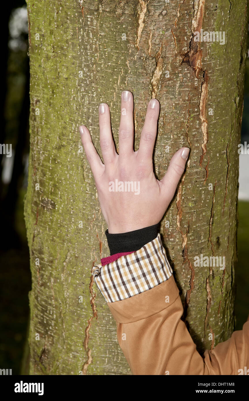 hand touches a tree Stock Photo - Alamy