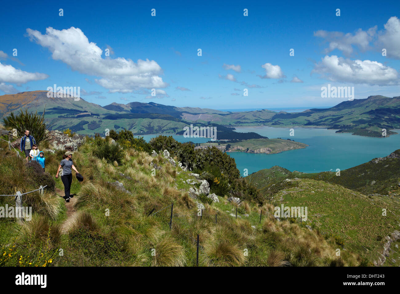 Walkers on track on Mt Cavendish, Port Hills, and Lyttelton Harbour ...
