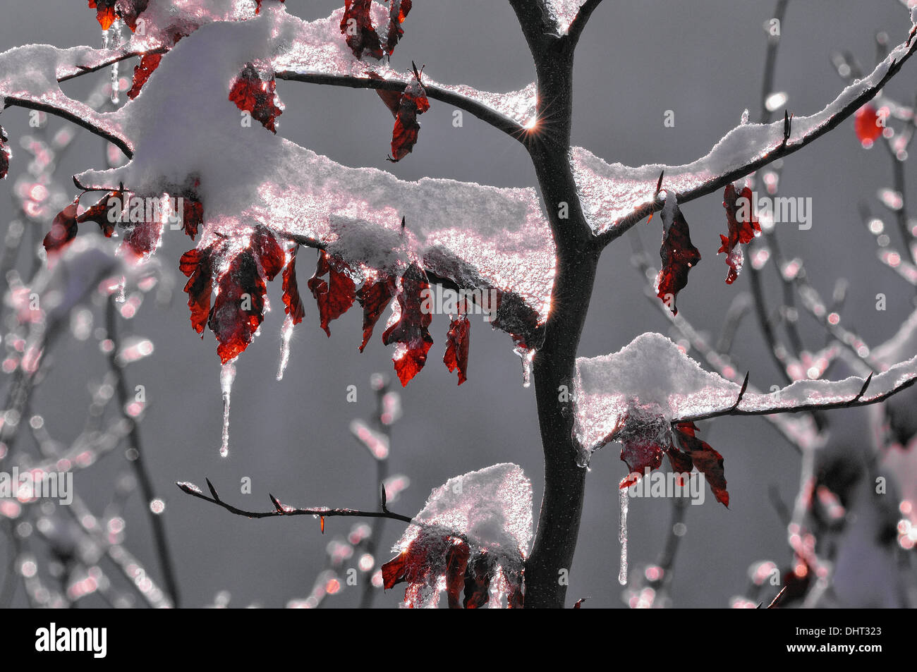 Cold areas hi-res stock photography and images - Alamy