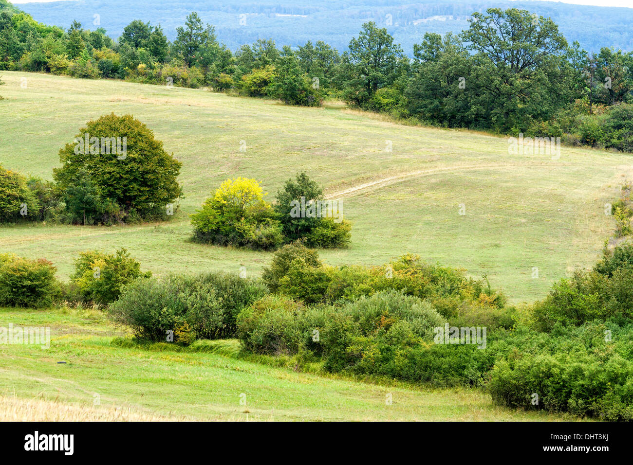 Beautiful green landscape from Hungary Stock Photo - Alamy