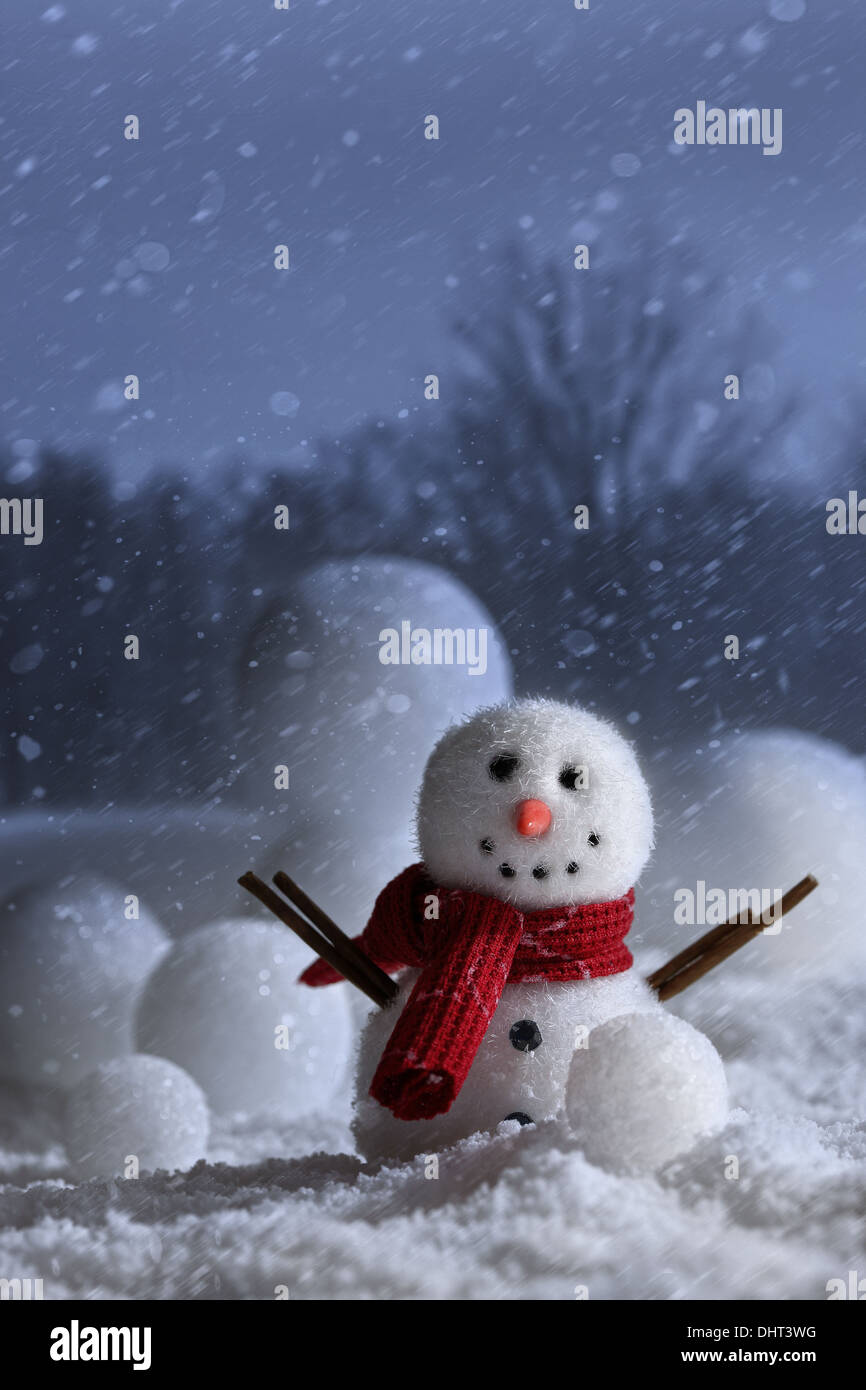 Real Snowman Background