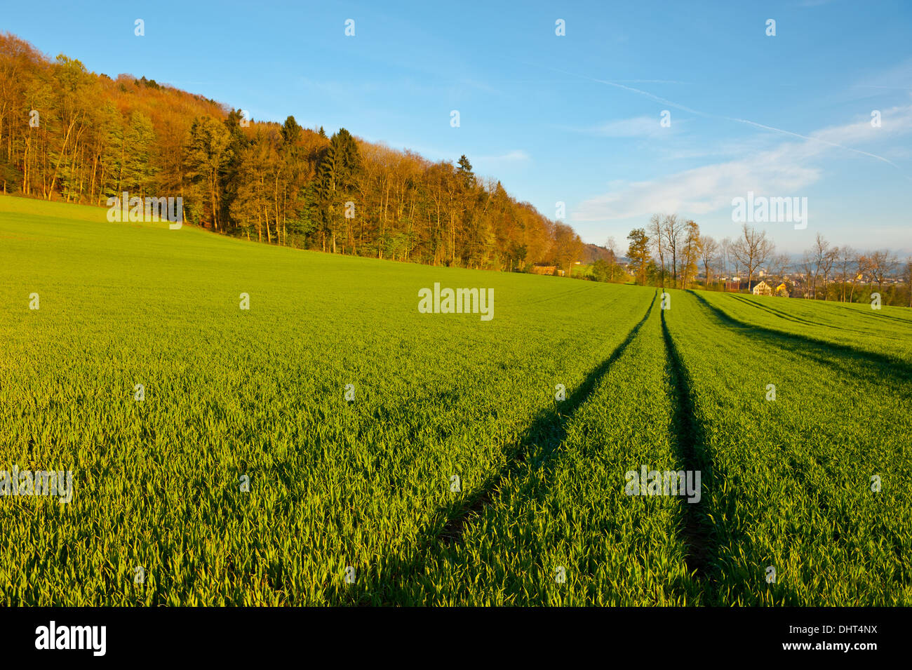 Ground rut hi-res stock photography and images - Alamy