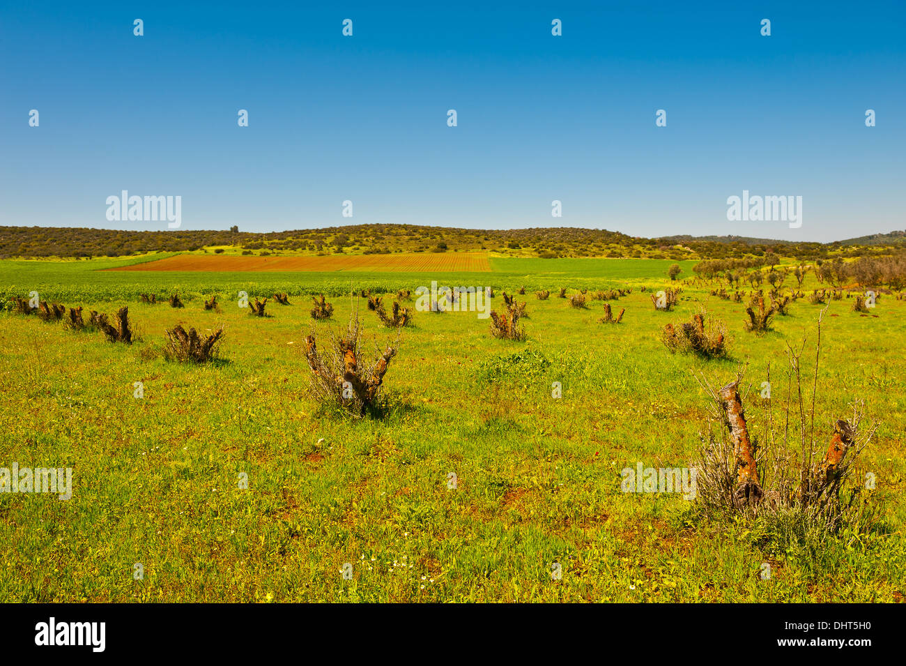 Soil slump hi-res stock photography and images - Alamy