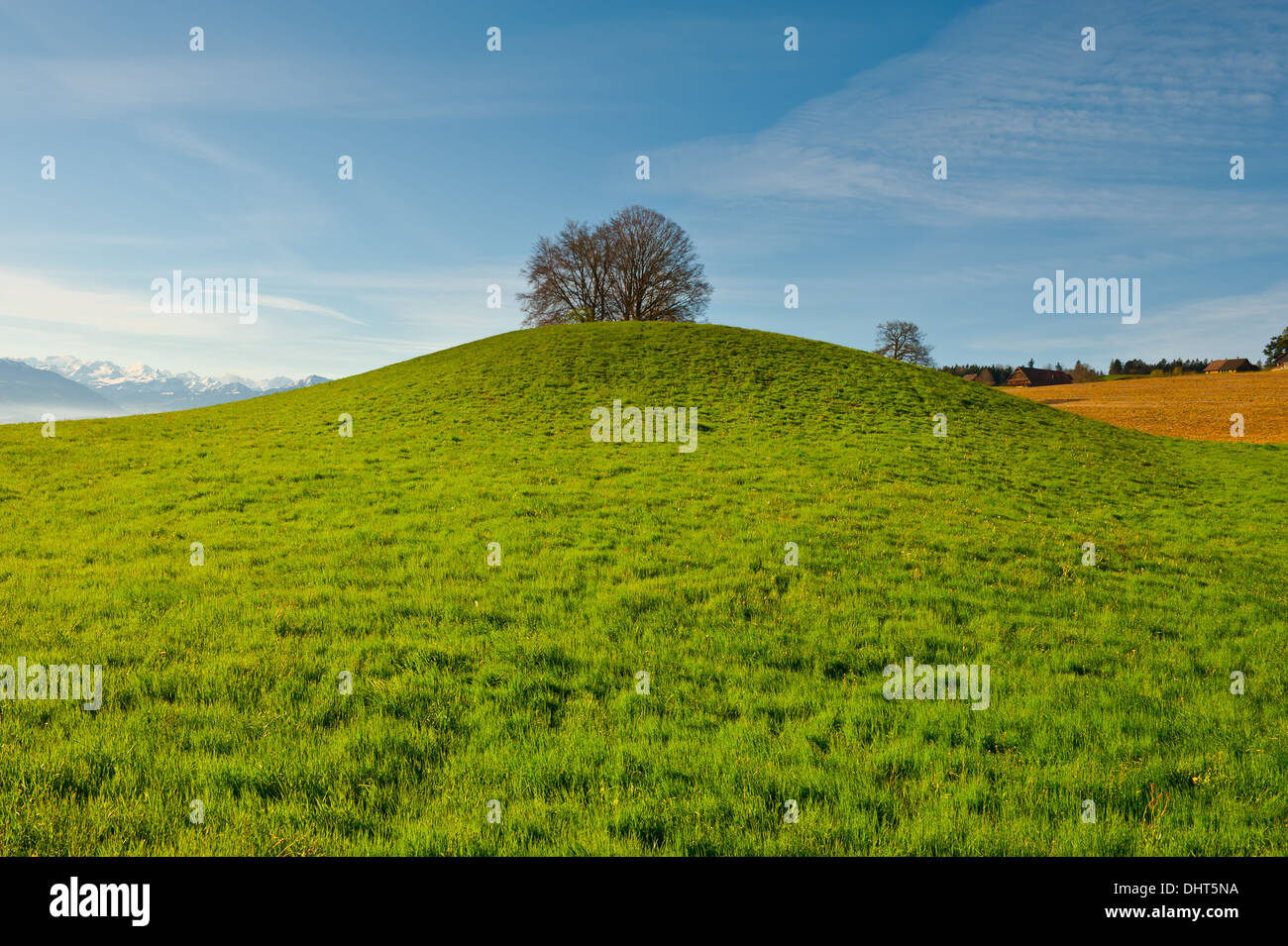 Sow hill hi-res stock photography and images - Alamy