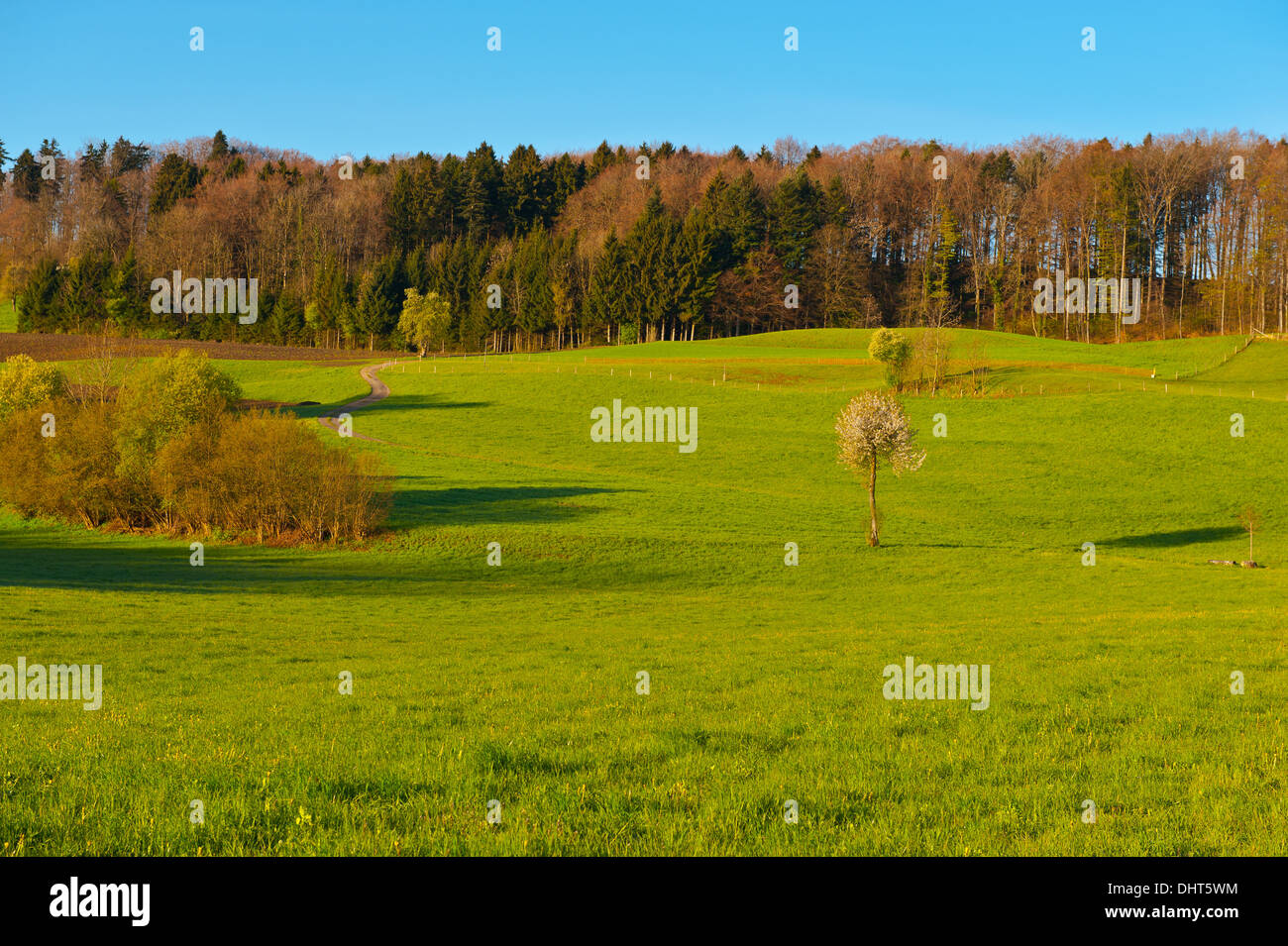 Sloping grass hi-res stock photography and images - Alamy