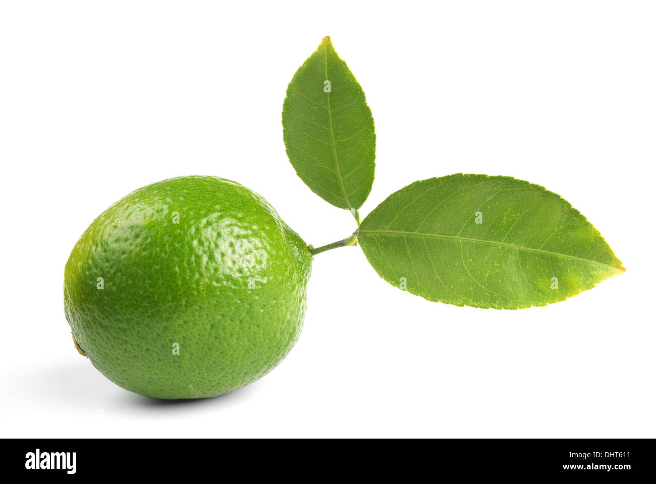 Fresh lime with leaf isolated on white background Stock Photo - Alamy