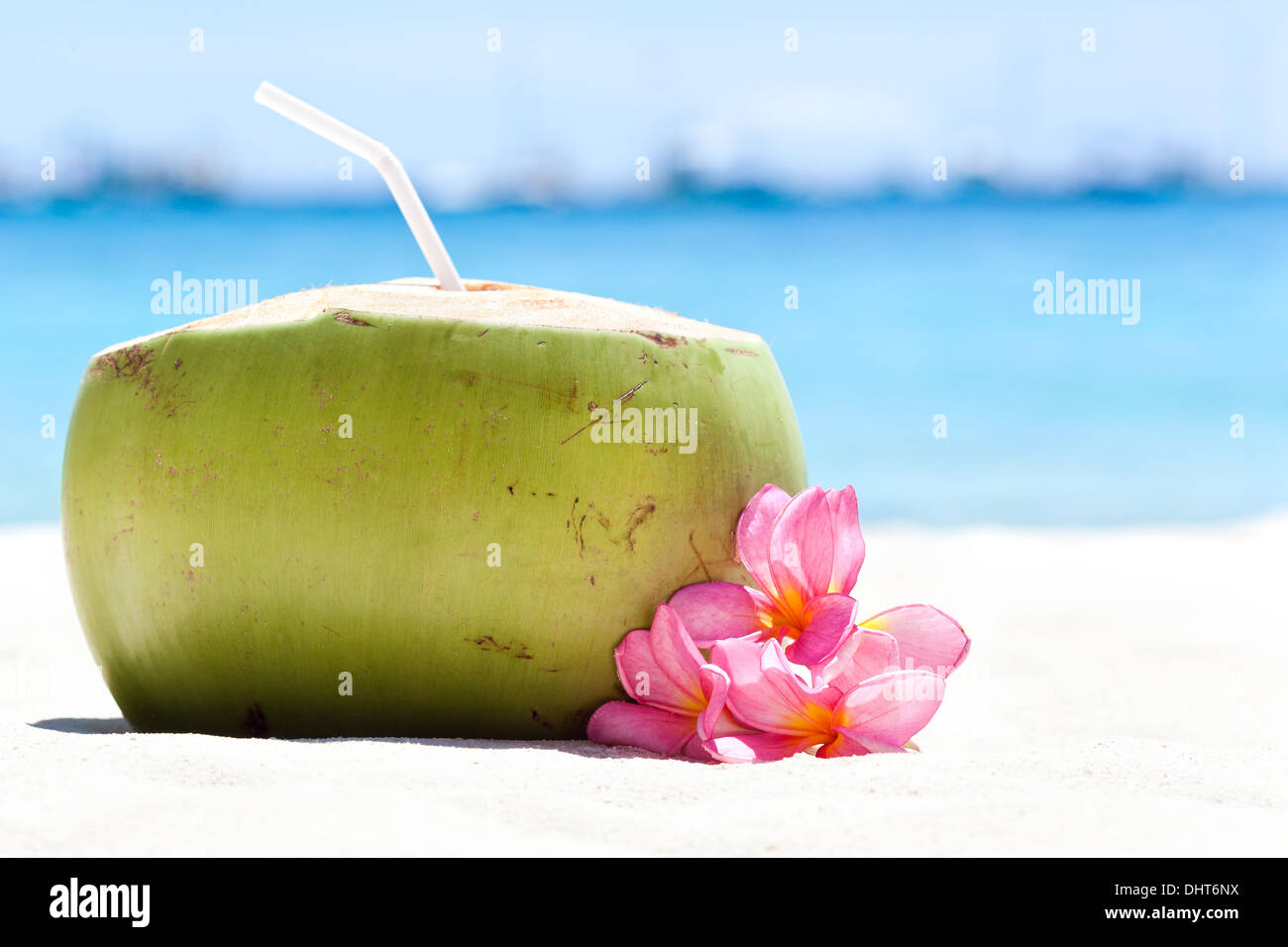 Tropical fresh coconut cocktail decorated plumeria on white beach Stock ...