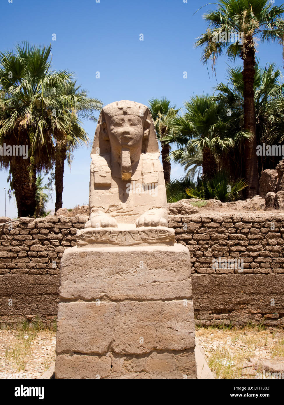 One of a number of Sphinx lining the route of the avenue of Sphinx ...
