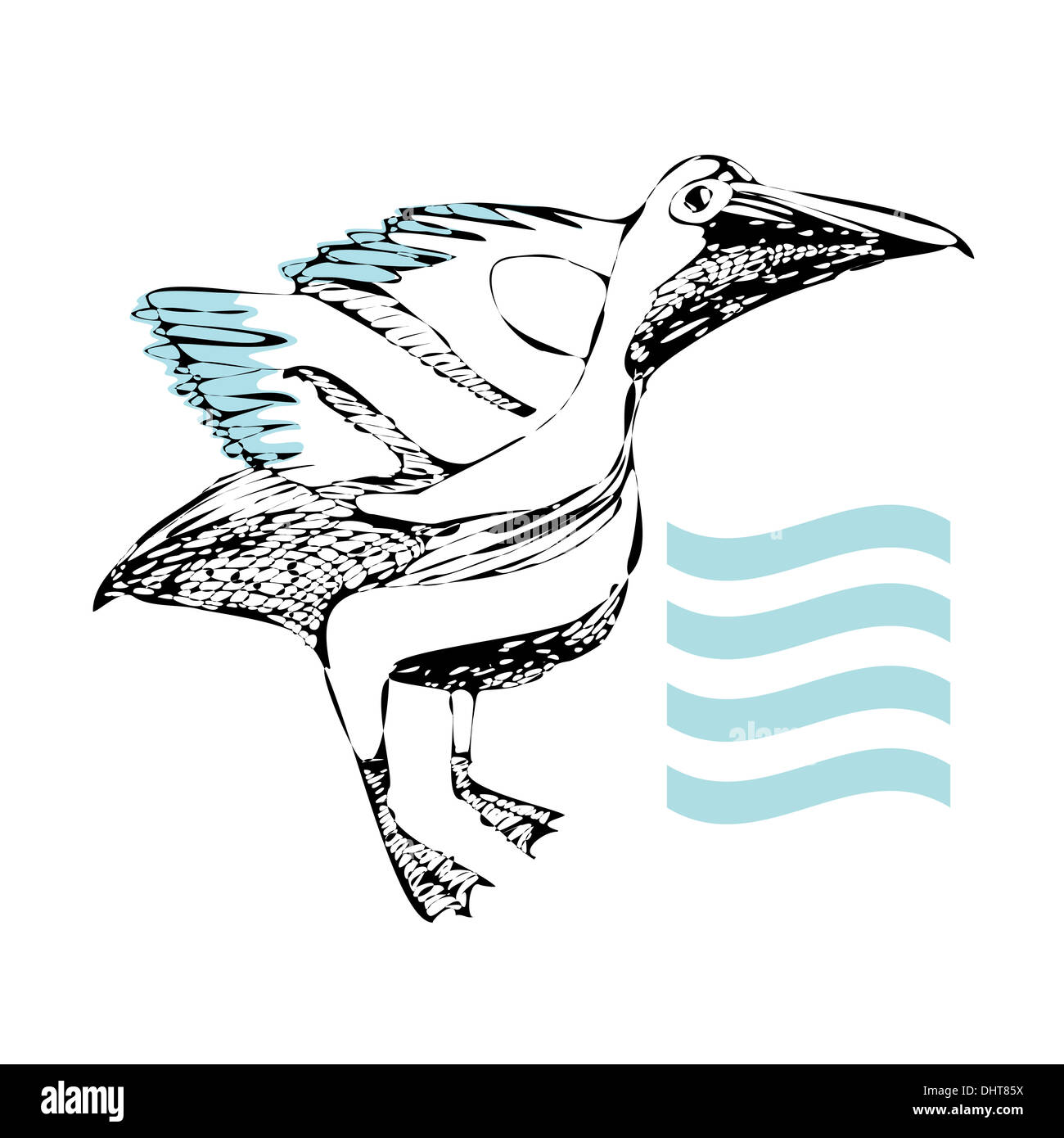 Pelican drawing hi-res stock photography and images - Alamy