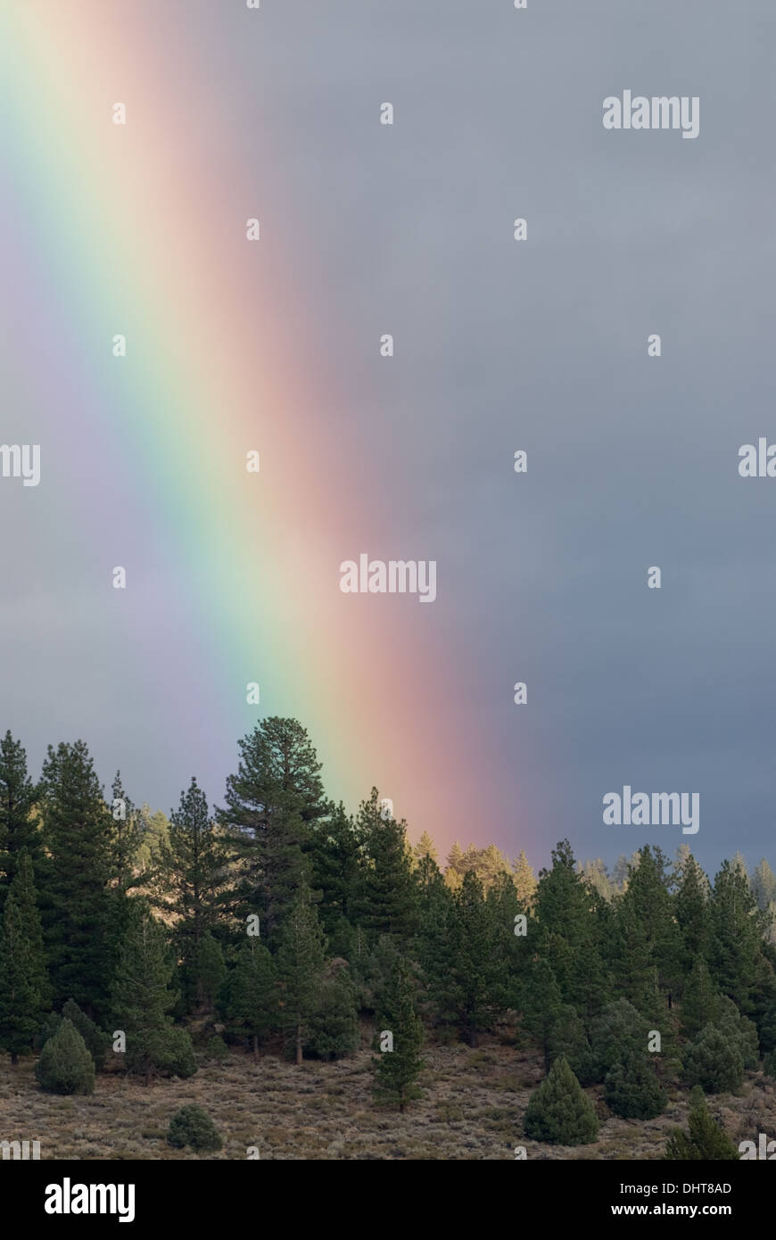 Bright rainbow in northern California near Yosemite Stock Photo - Alamy