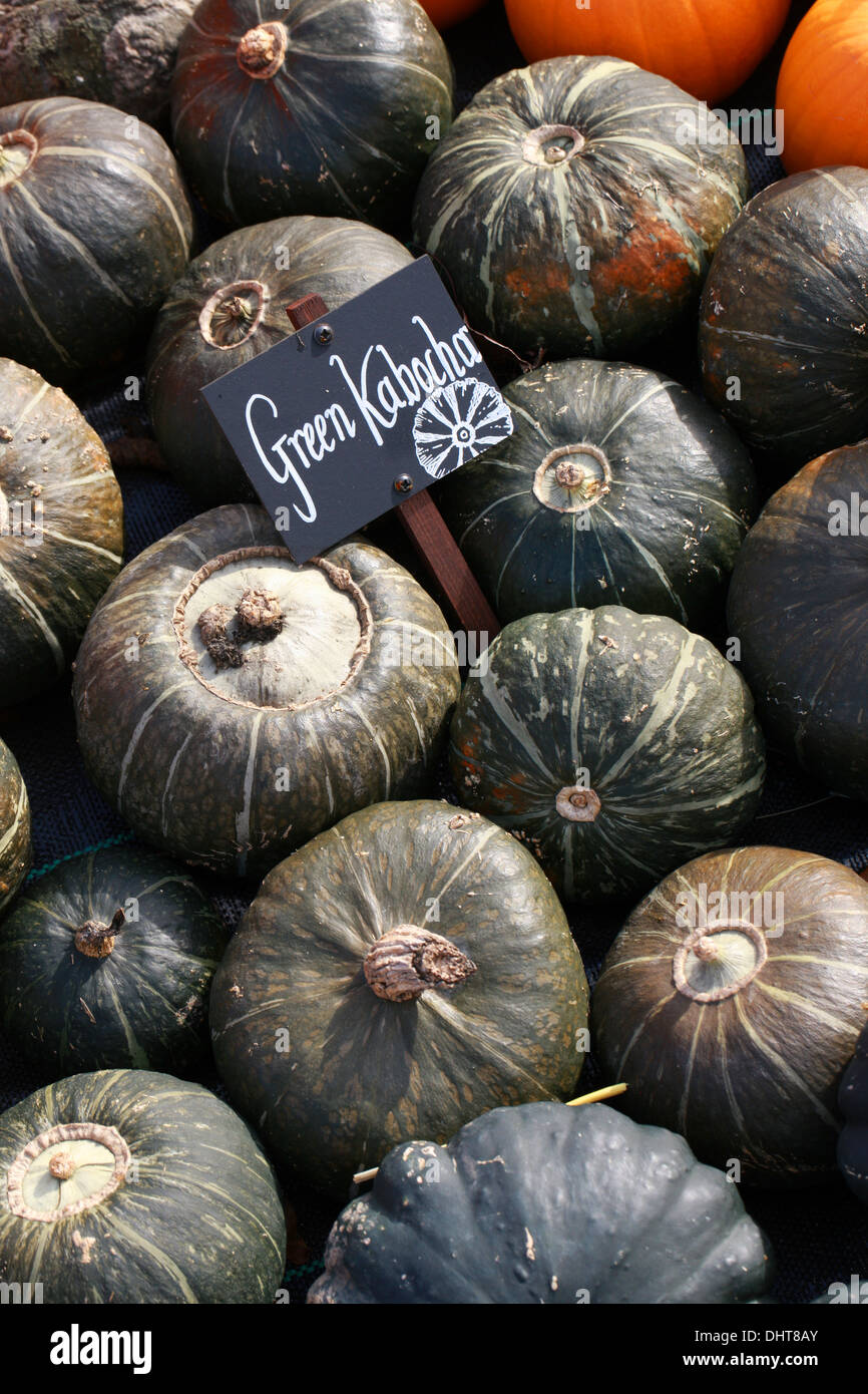 Pumpkin Squash "Green Kabocha", Cucurbita pepo, Cucurbitaceae. Aka ...