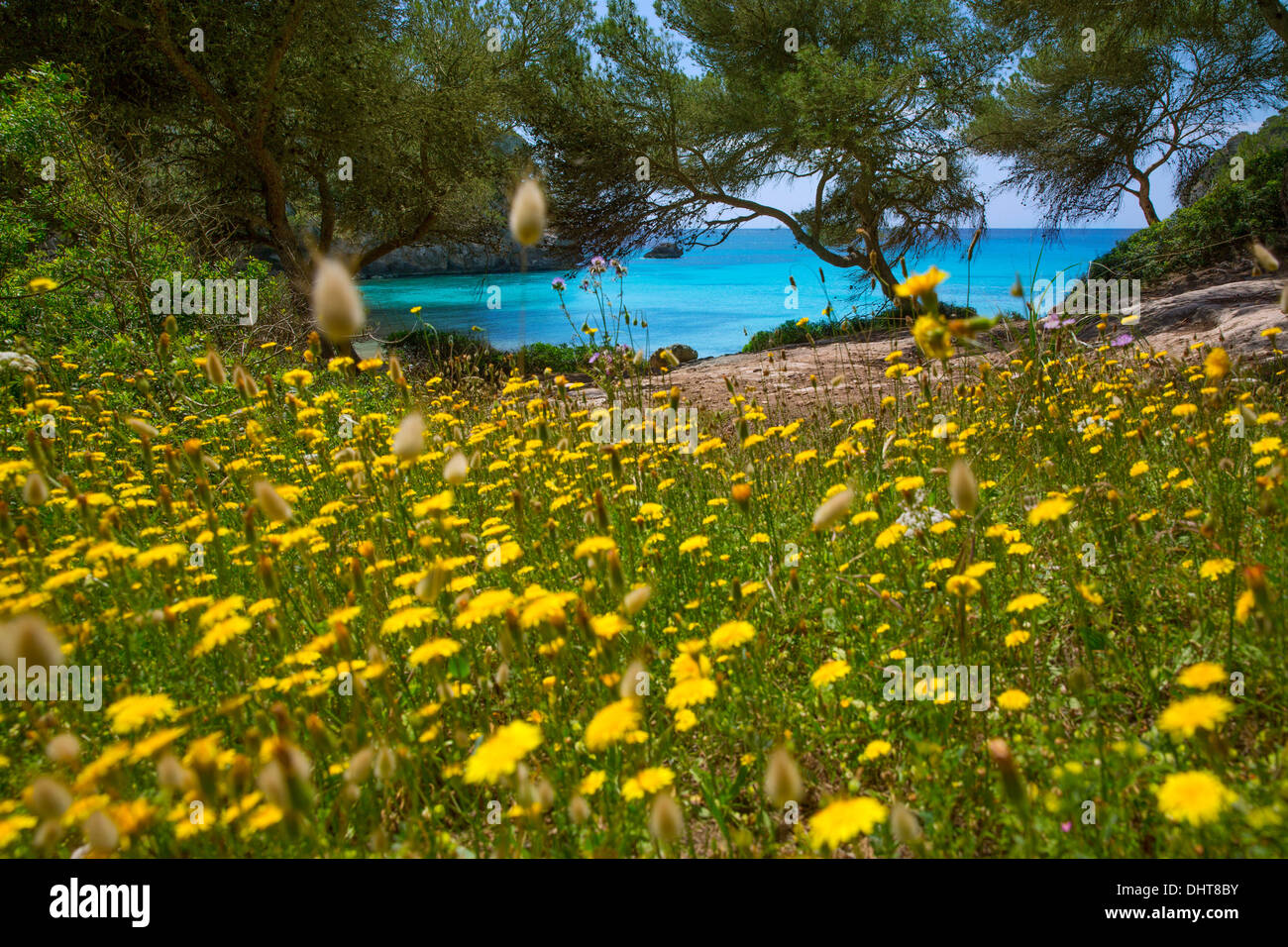 Cala Macarella Ciudadela Menorca turquoise Mediterranean from spring ...