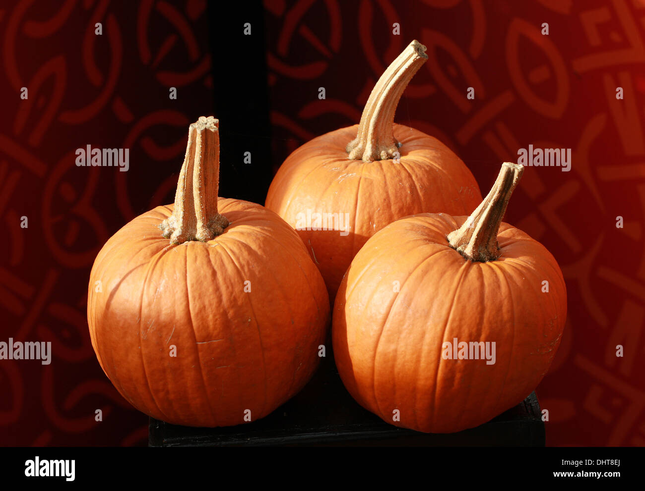 Gold squash hi-res stock photography and images - Alamy