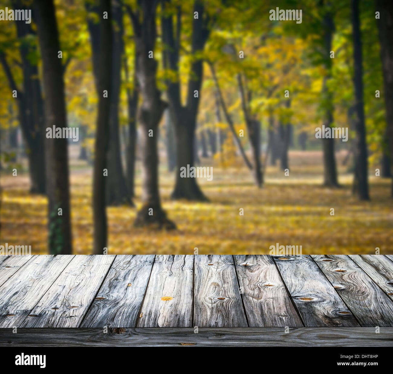 Autumn forest and wooden floor Stock Photo - Alamy