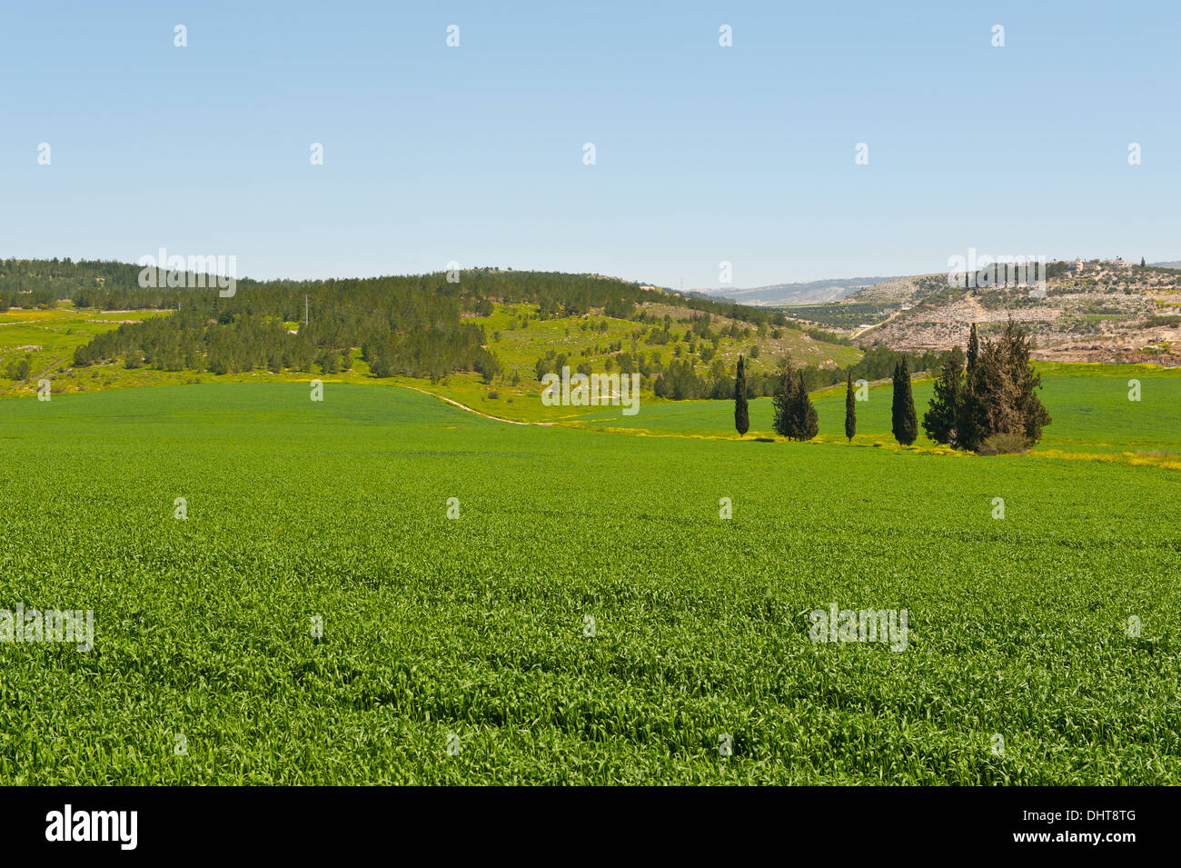 Israel in Spring Stock Photo - Alamy