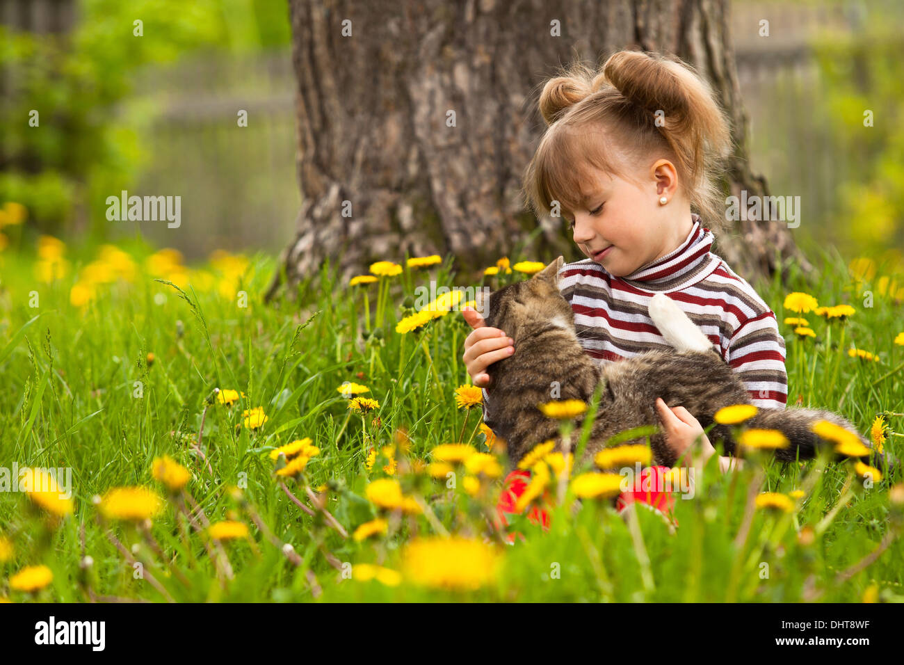 Kid and cat Stock Photo - Alamy