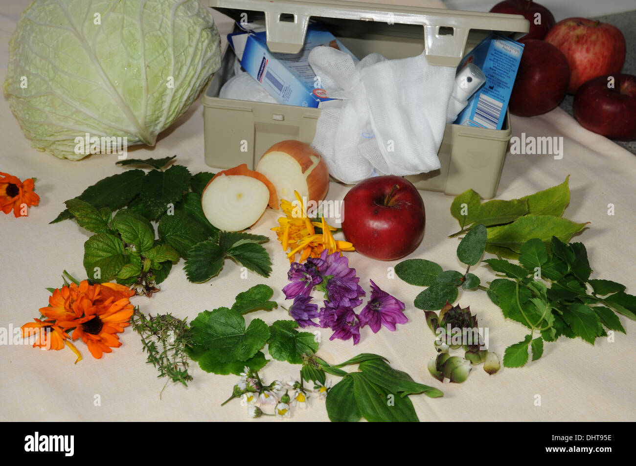 Medical herbalism hi-res stock photography and images - Alamy