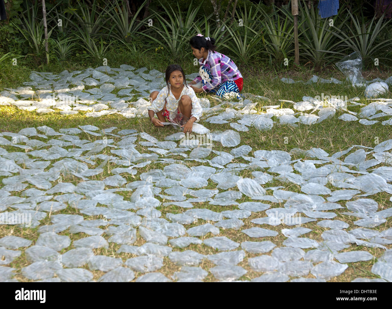 Drying rice paper hi-res stock photography and images - Alamy