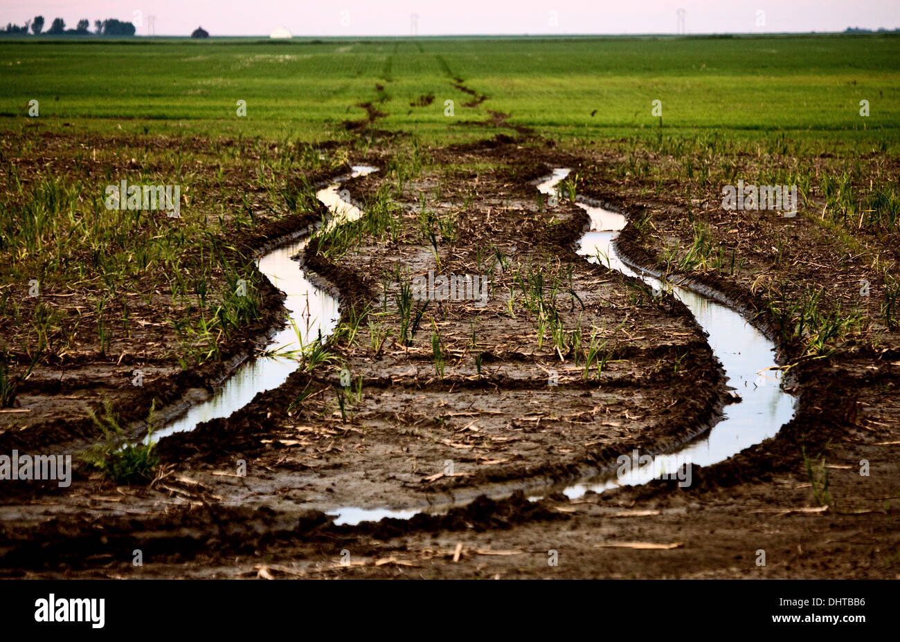 Tractor tire tracks hi-res stock photography and images - Alamy