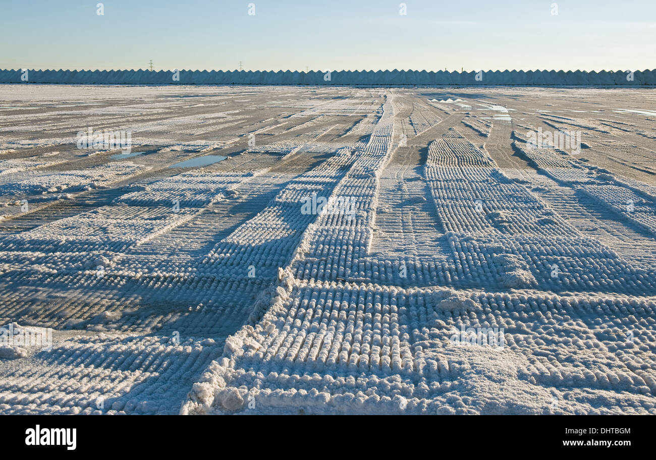 Salt evaporation and australia hi-res stock photography and images - Alamy