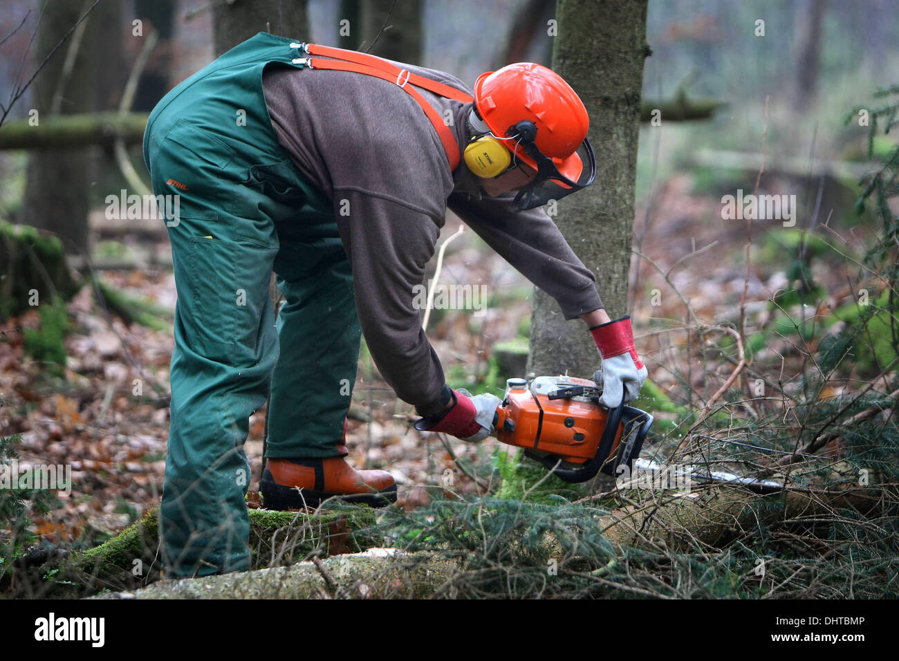 (FILE) A file photo dated 13 November 2008 shows a woodcutter working ...