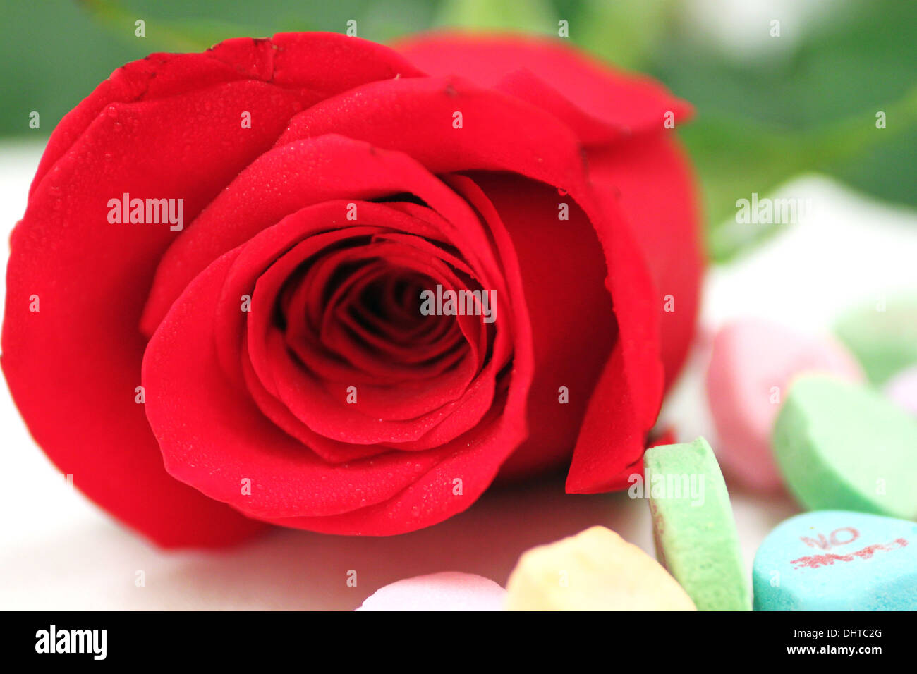 Candy Blossom High Resolution Stock Photography and Images - Alamy