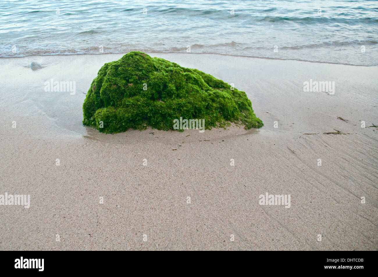 large stones, on the banks of the beautiful beaches in Bali, Indonesia ...