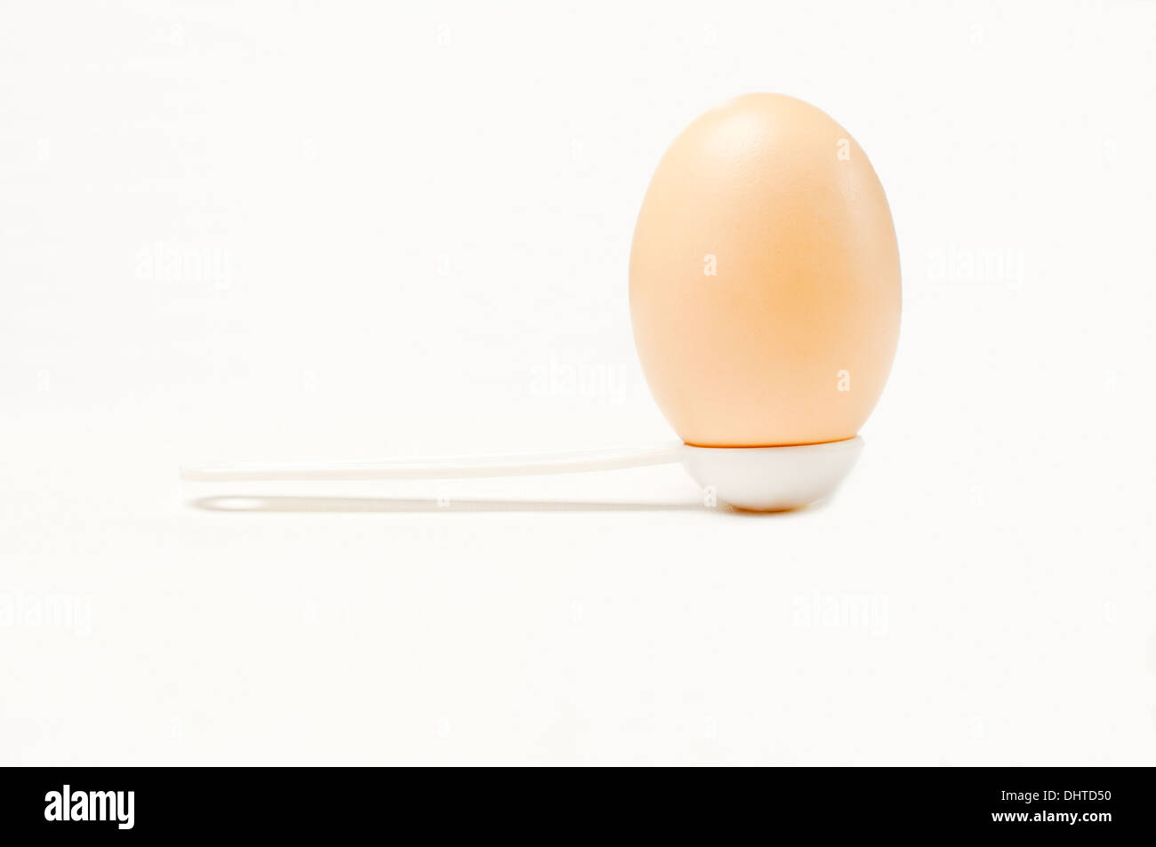 Images One big chicken eggs Stock Photo - Alamy