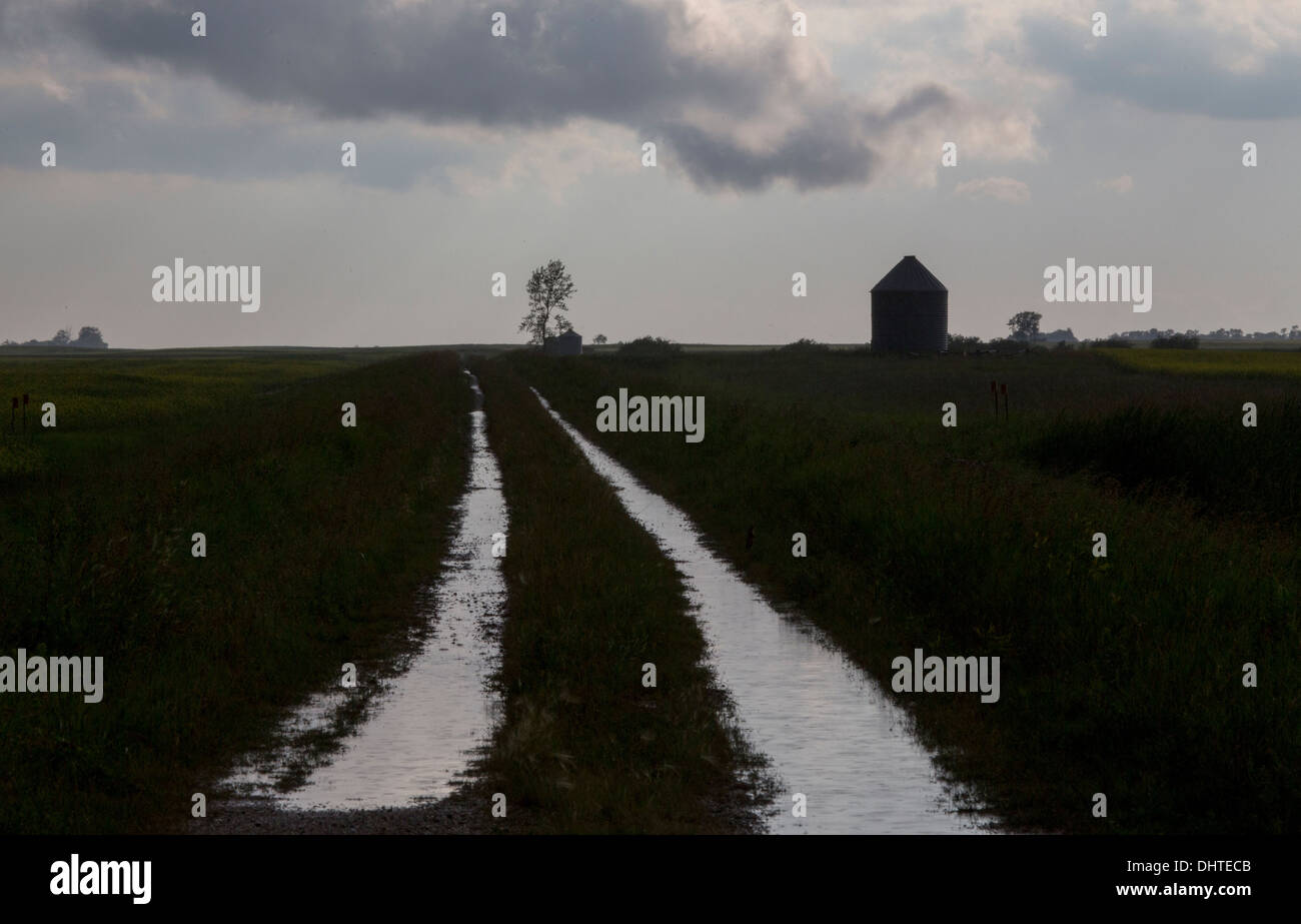 Wet tractor tire tracks in Saskatchewan Field` Stock Photo - Alamy