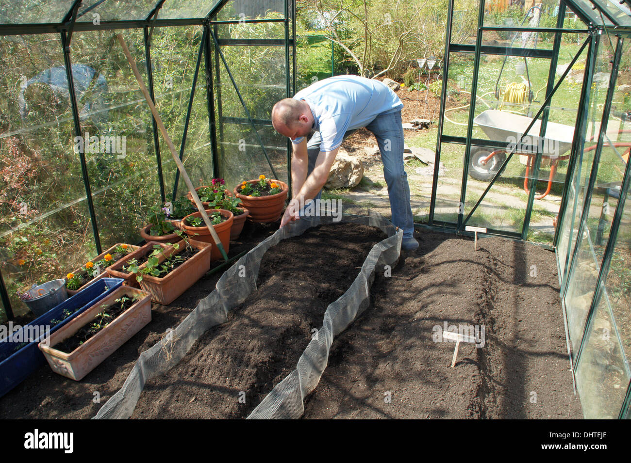 Protect against snails in a greenhouse Stock Photo - Alamy