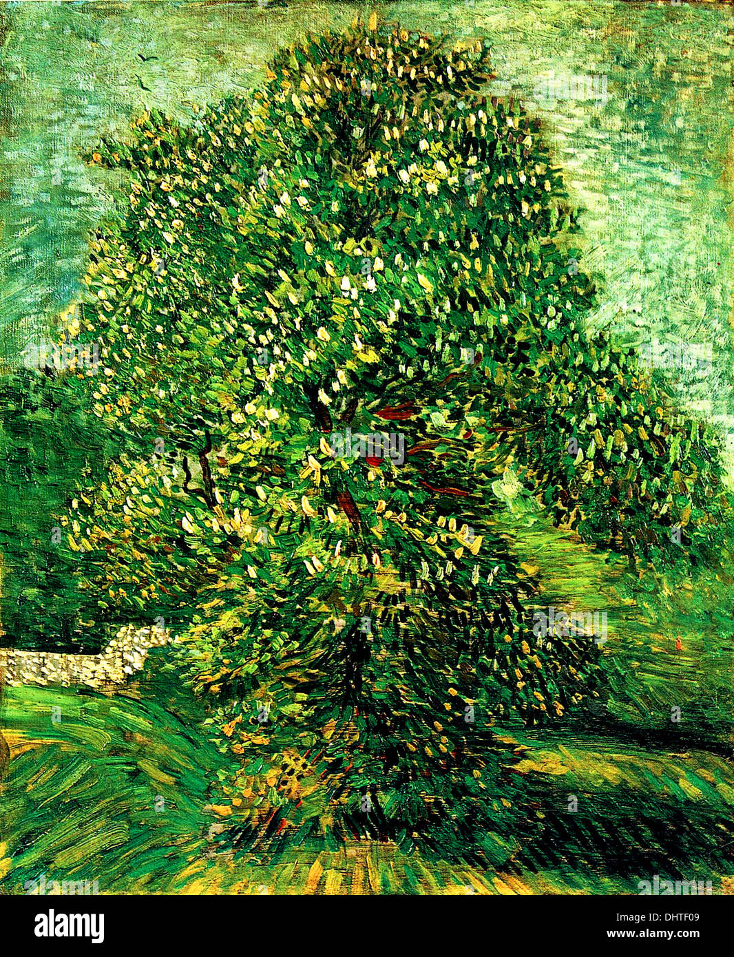 Van gogh tree hi-res stock photography and images - Alamy