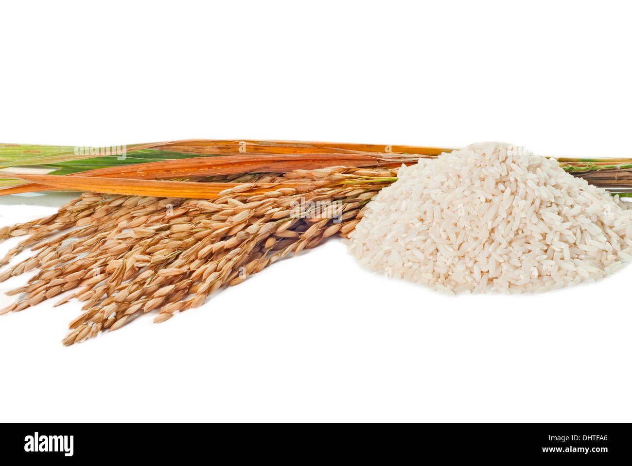 Paddy storage hi-res stock photography and images - Alamy