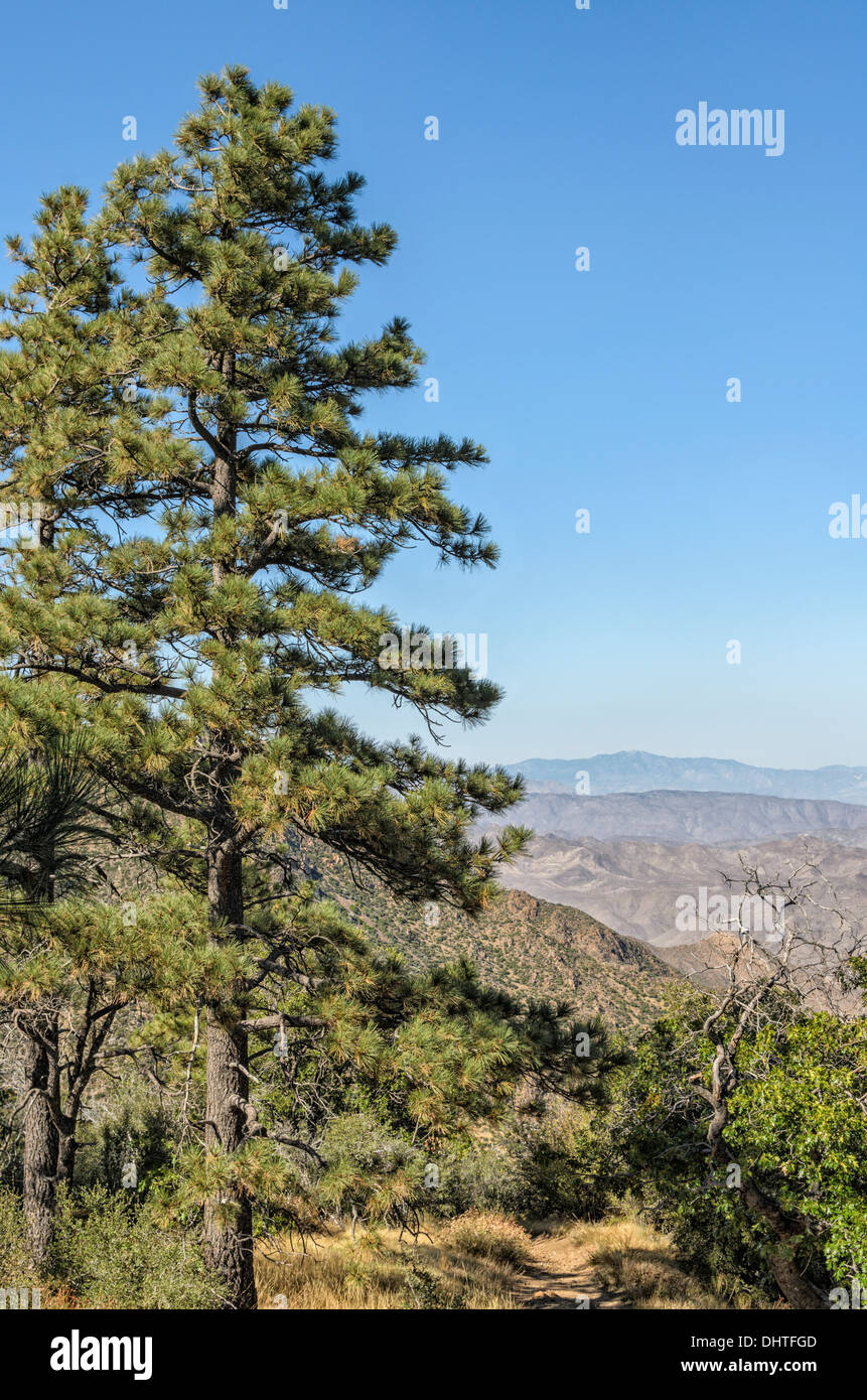 Cleveland national forest hi-res stock photography and images - Alamy