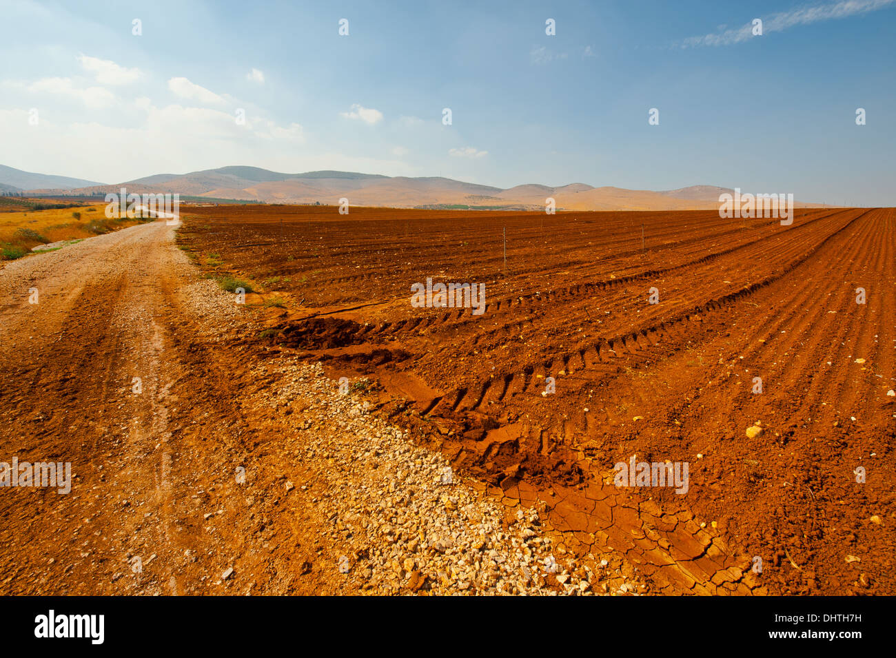 Sow road hi-res stock photography and images - Alamy