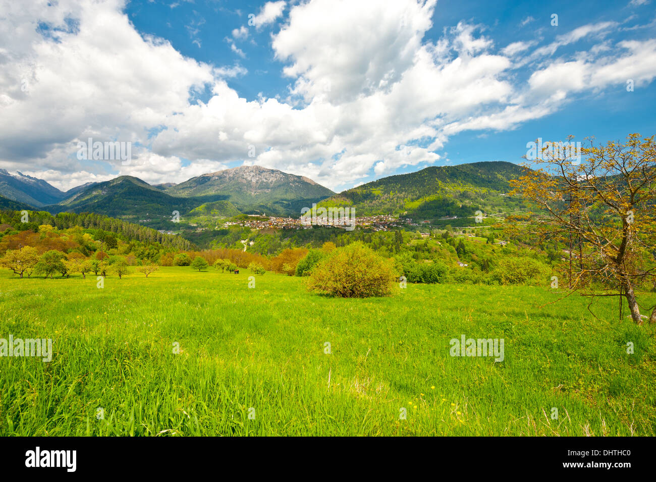Pasture farming medieval hi-res stock photography and images - Alamy