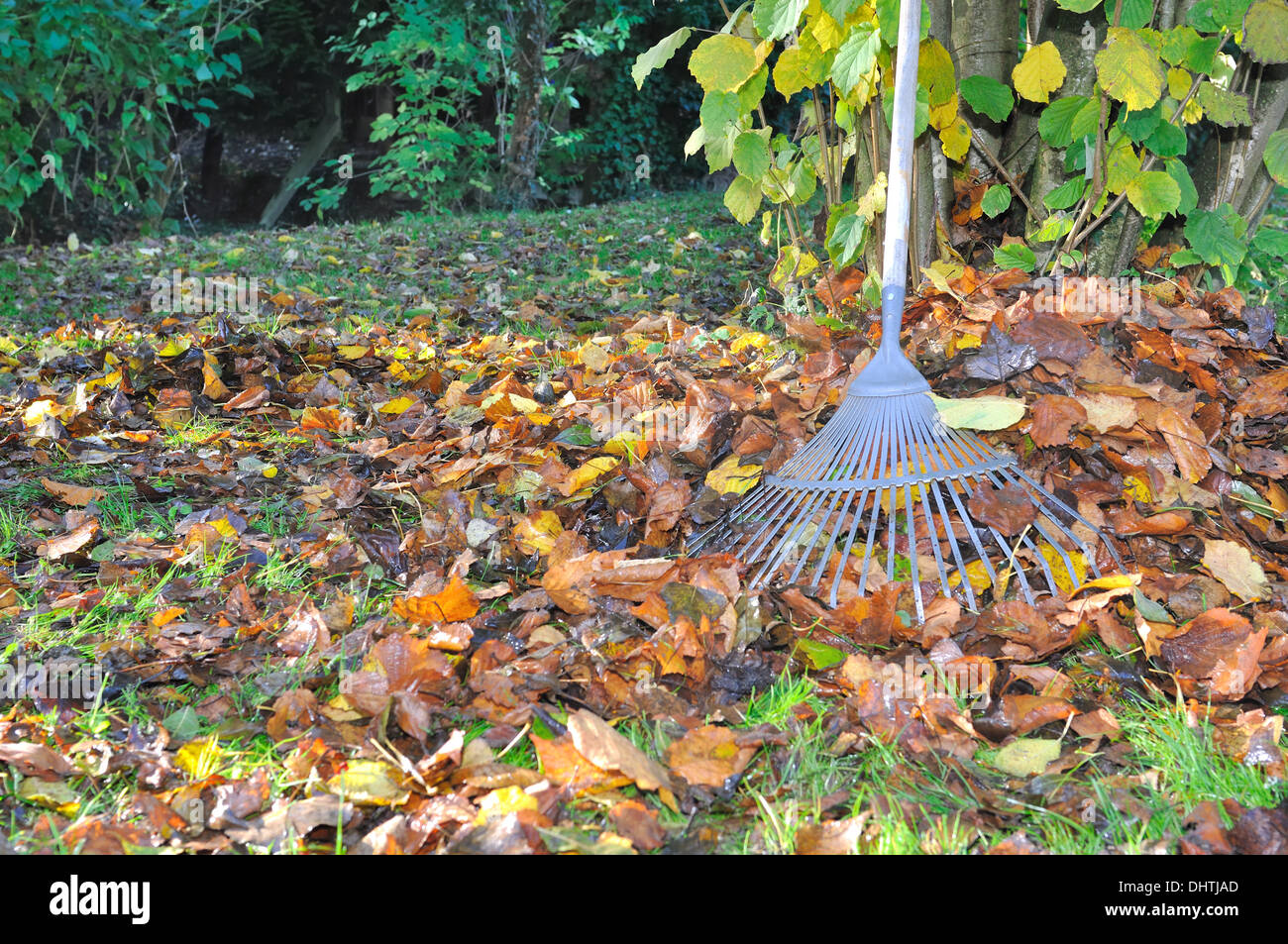 Garden tool pick hi-res stock photography and images - Alamy