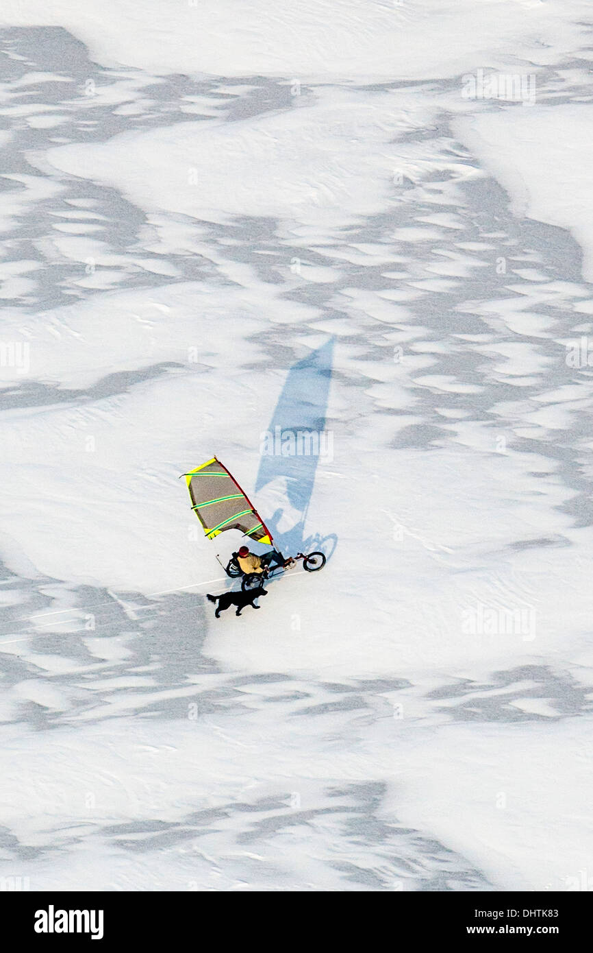 Netherlands, Loosdrecht, Man with dog ice surfing on frozen lakes ...