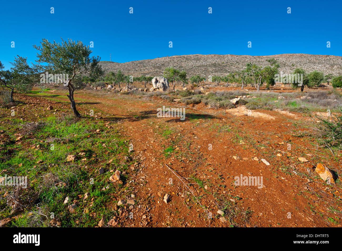 Barren fruit trees hi-res stock photography and images - Alamy