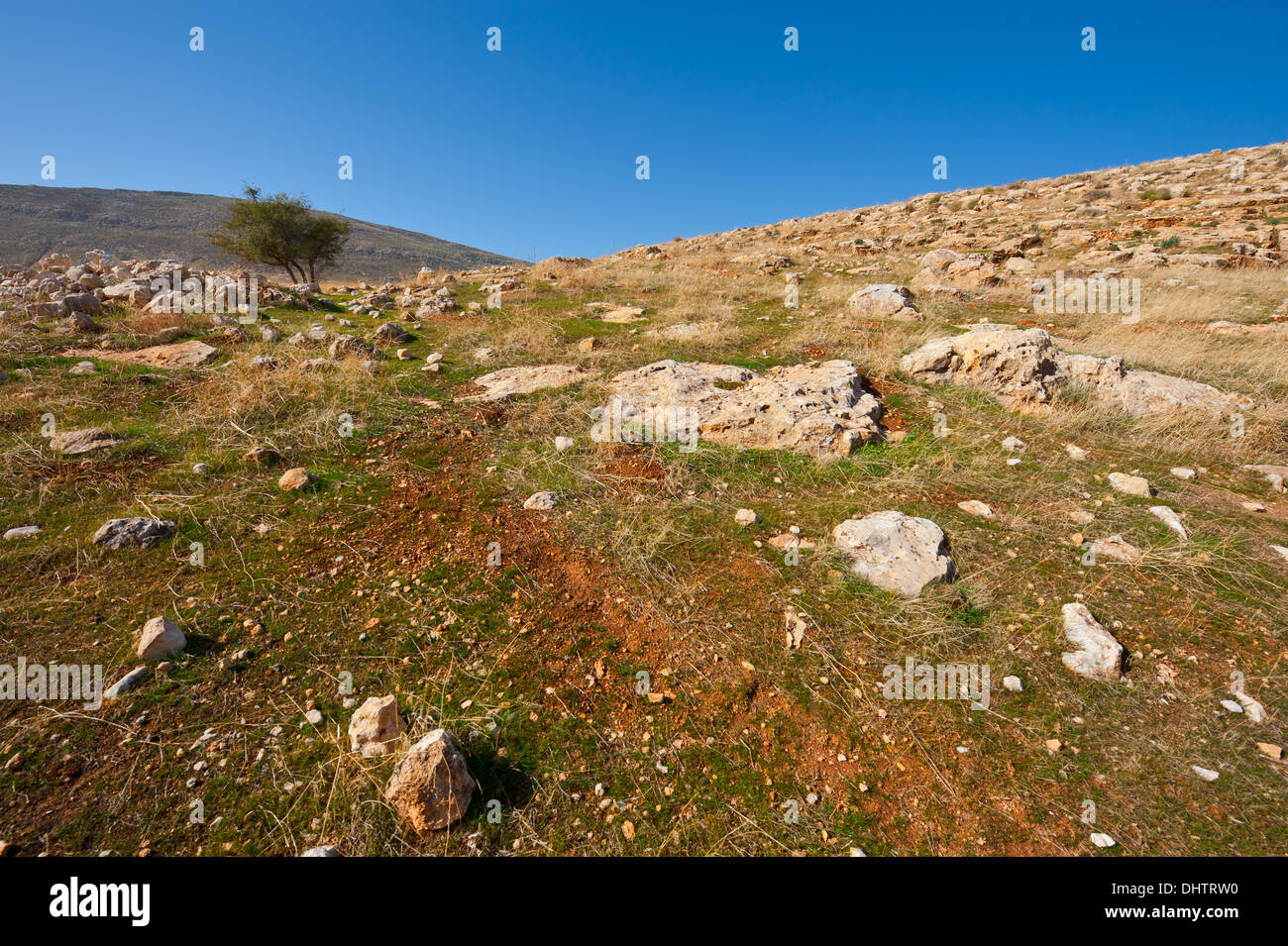 Judean mountains hi-res stock photography and images - Alamy