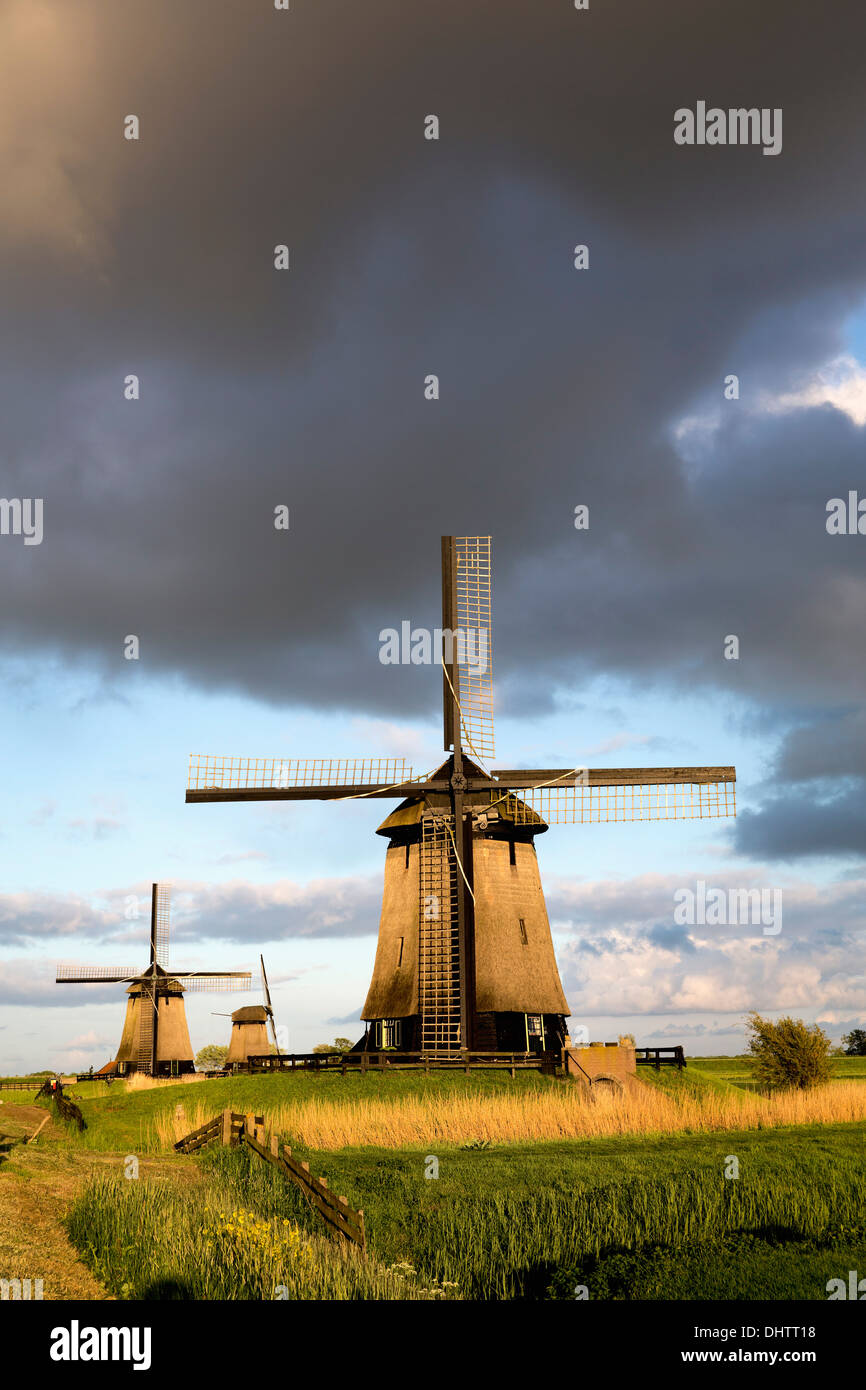 Schermerhorn hi-res stock photography and images - Alamy