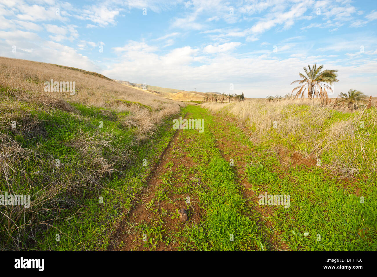 Overgrown road hi-res stock photography and images - Alamy