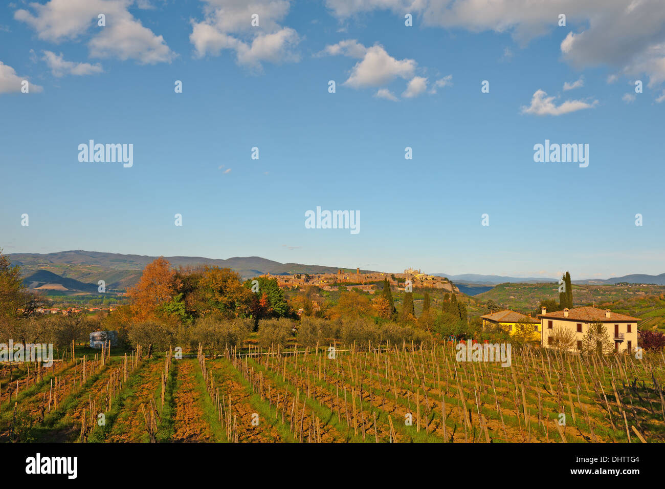Royal vineyard hi-res stock photography and images - Alamy